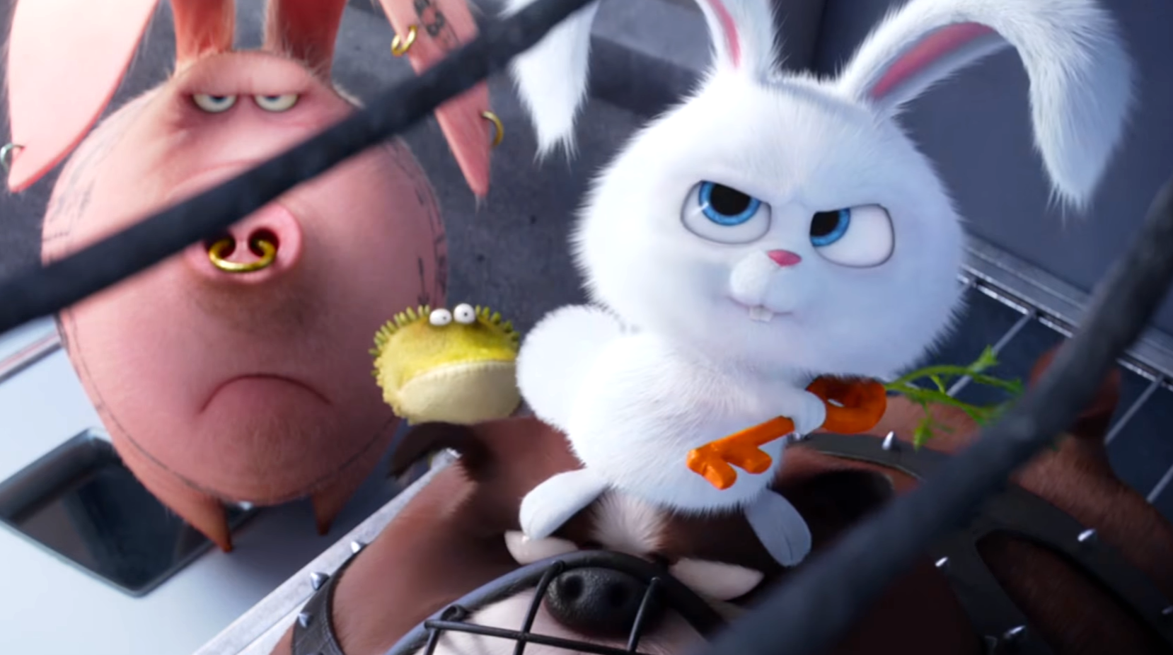 7 Fun Facts From ‘The Secret Life Of Pets’ | Mrs. Kathy King CEO of ...